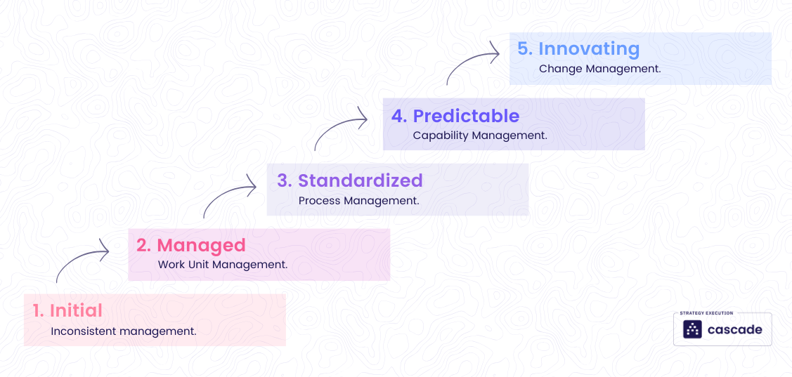 What Is A Maturity Model? Overview, Examples + Free Assessment